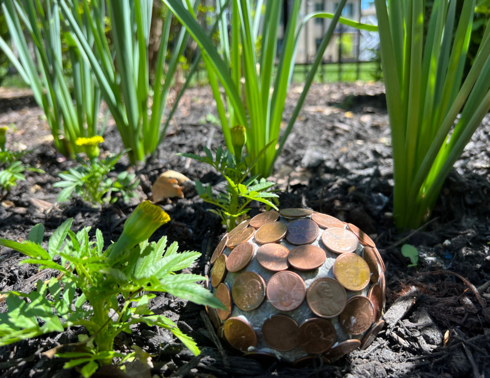 Pennies for Your Thoughts, Slugs! | Sutherlands Blog