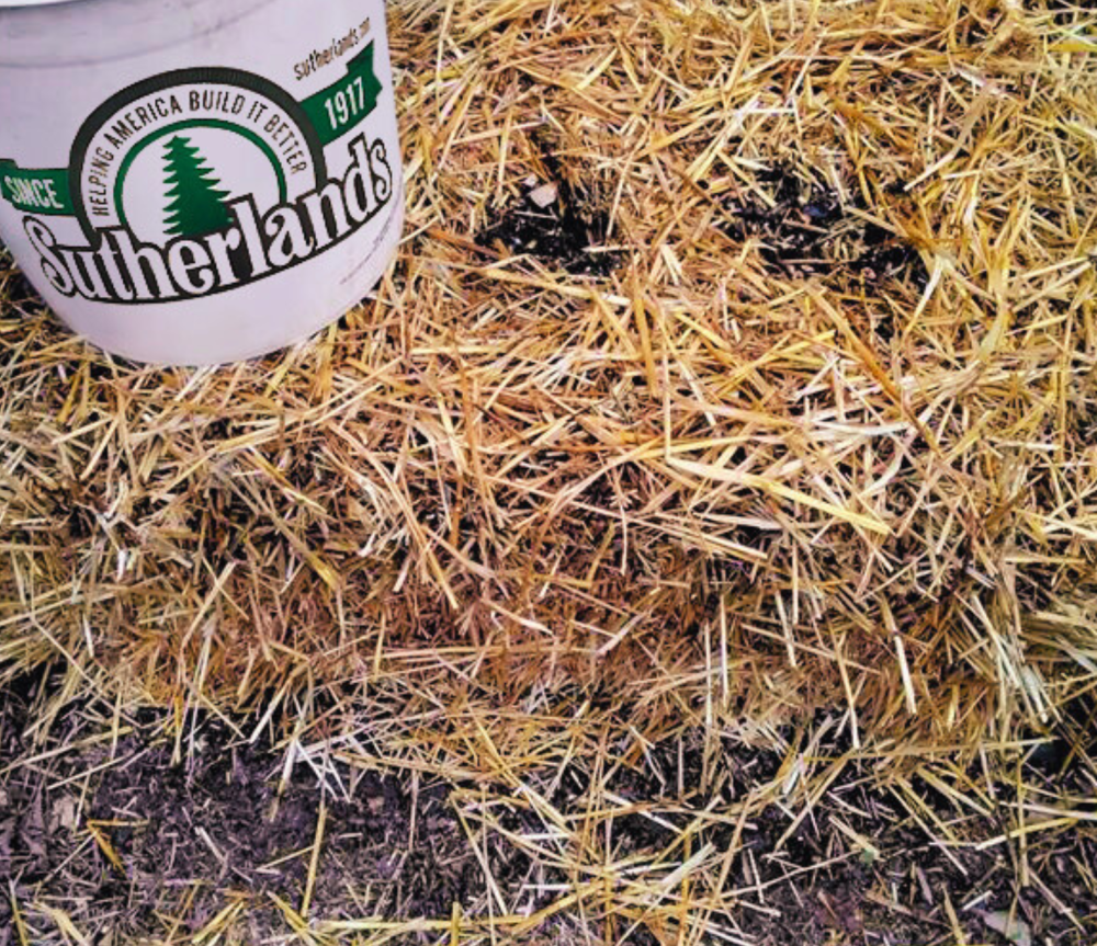 Straw Bale Gardening Blood Meal at Eileen Crofts blog