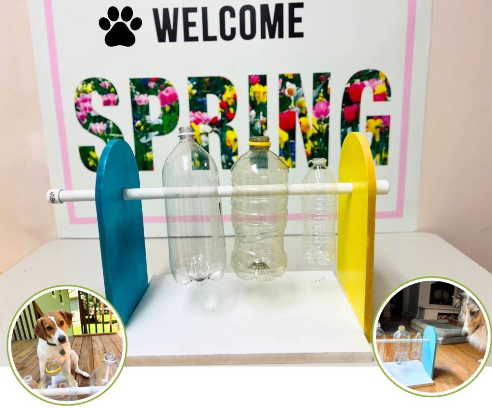 DIY Dog Feeder Toy | Sutherlands Blog