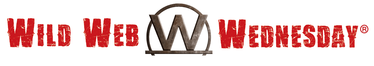 Home Improvement Stores | Local Hardware & Building Supplies