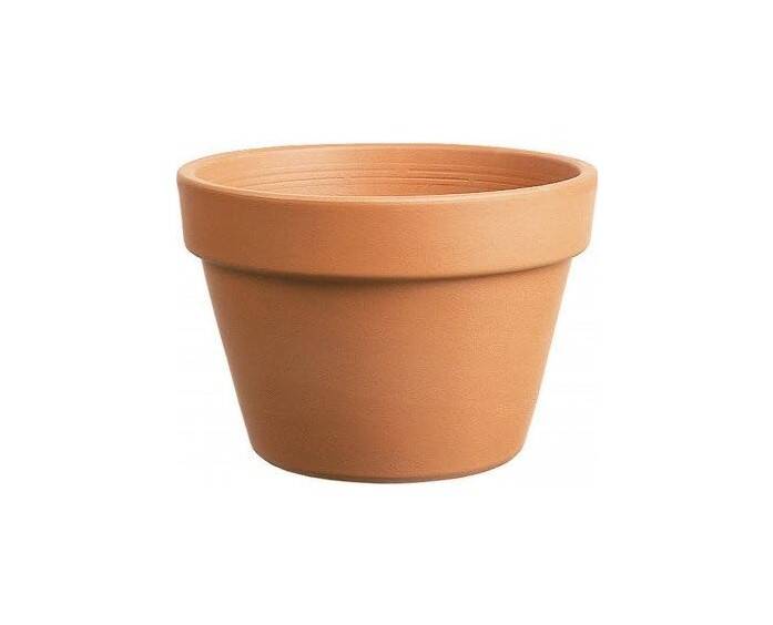 SOUTHERN PATIO® TC0812AZ 8-Inch Azalea Terracotta Clay Pot #4075024 at ...