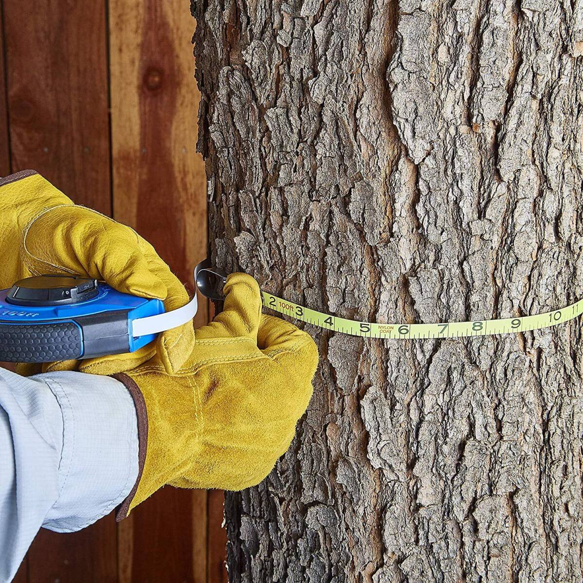 BioAdvanced BY701700B 4-Pound, 12-Month, Tree And Shrub, Protect And ...