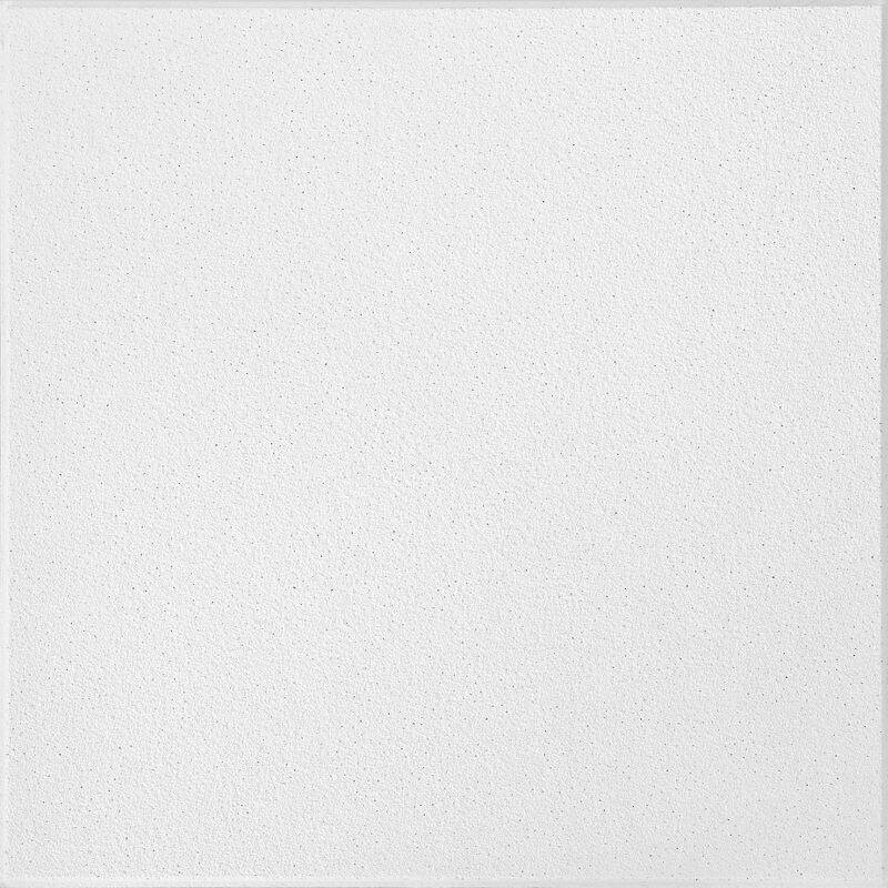 Armstrong BP271 2-Foot x 2-Foot Sahara Ceiling Panels #9948456 at ...