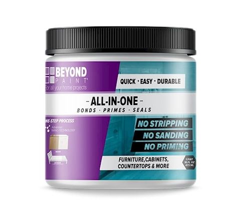 BEYOND PAINT BP215 16-Fl. Oz. Sand All In One Paint at Sutherlands