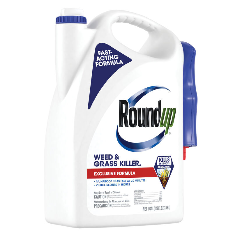 Roundup MS5375504 1-Gallon,Weed And Grass Killer4, with Trigger Sprayer ...