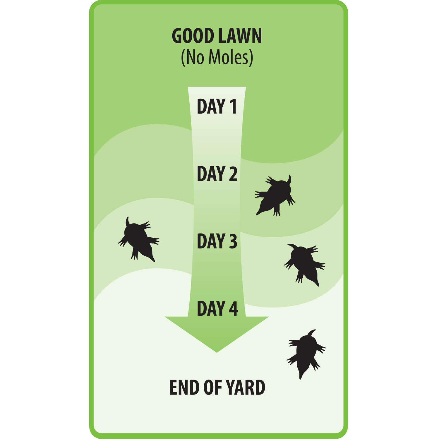 VICTOR WDM7002 10-Pound Mole And Gopher Dual Action Repellent at ...