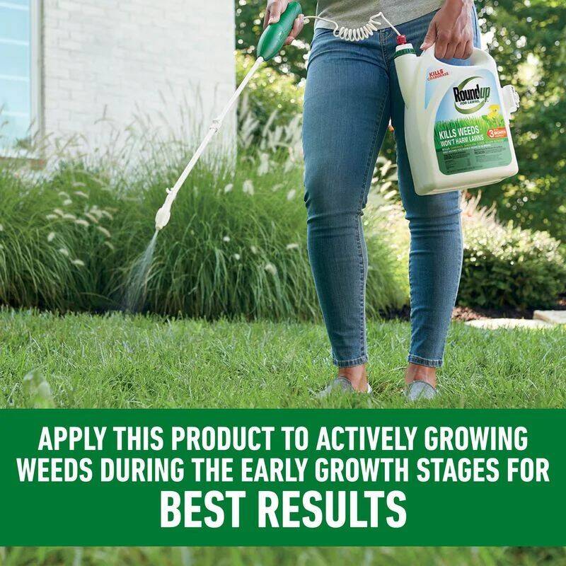 Roundup MS5020710 1-Gallon, Roundup For Lawns, Ready To Use, Extended ...