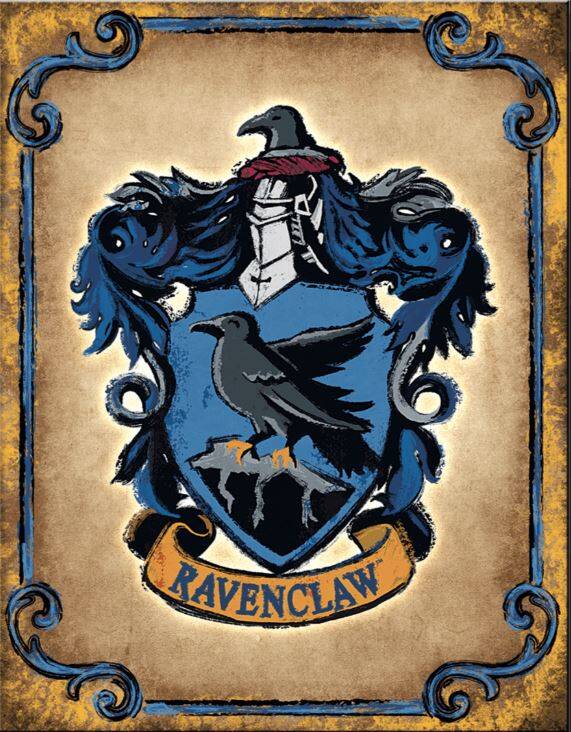 Desperate Enterprises 2927 12.5 X 16-Inch Harry Potter Ravenclaw Tin ...