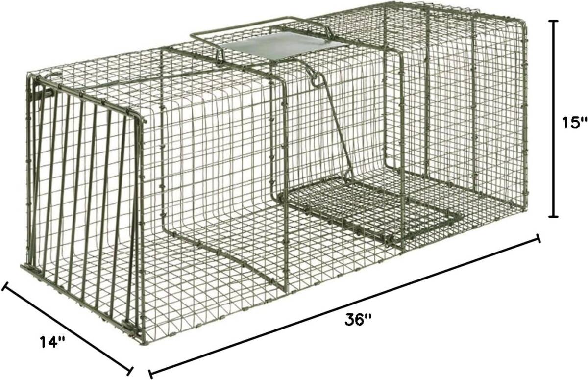 DUKE TRAPS 1114 HD X-LARGE Heavy Duty X-Large Cage Trap, 36x15x14-Inch ...
