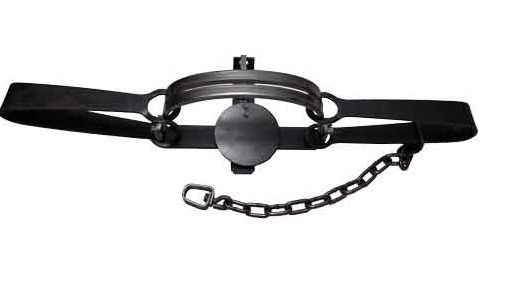 Bridger 100667 #4 Double Long Spring Trap With 6 Inch Jaw Spread at ...