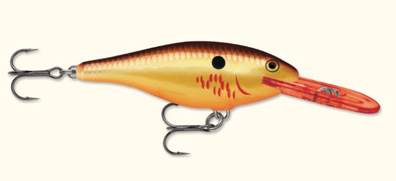 RAPALA SR07BCF 2-3/4-Inch 5/16-Oz Bleeding Copper Flash Shad Rap 2 Lure ...