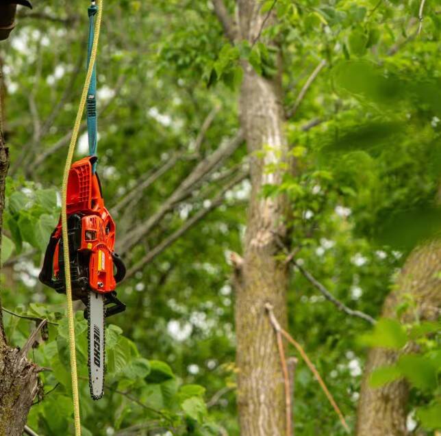 ECHO® CS-2511P-12 Echo-X Series 25CC Chainsaw With 12-Inch Bar And ...