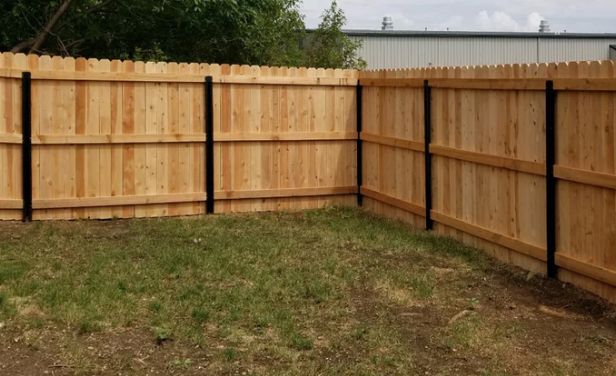 LIFETIME FENCE LTP 80220 8-Foot Lifetime Steel Post™ Black Fence Post ...