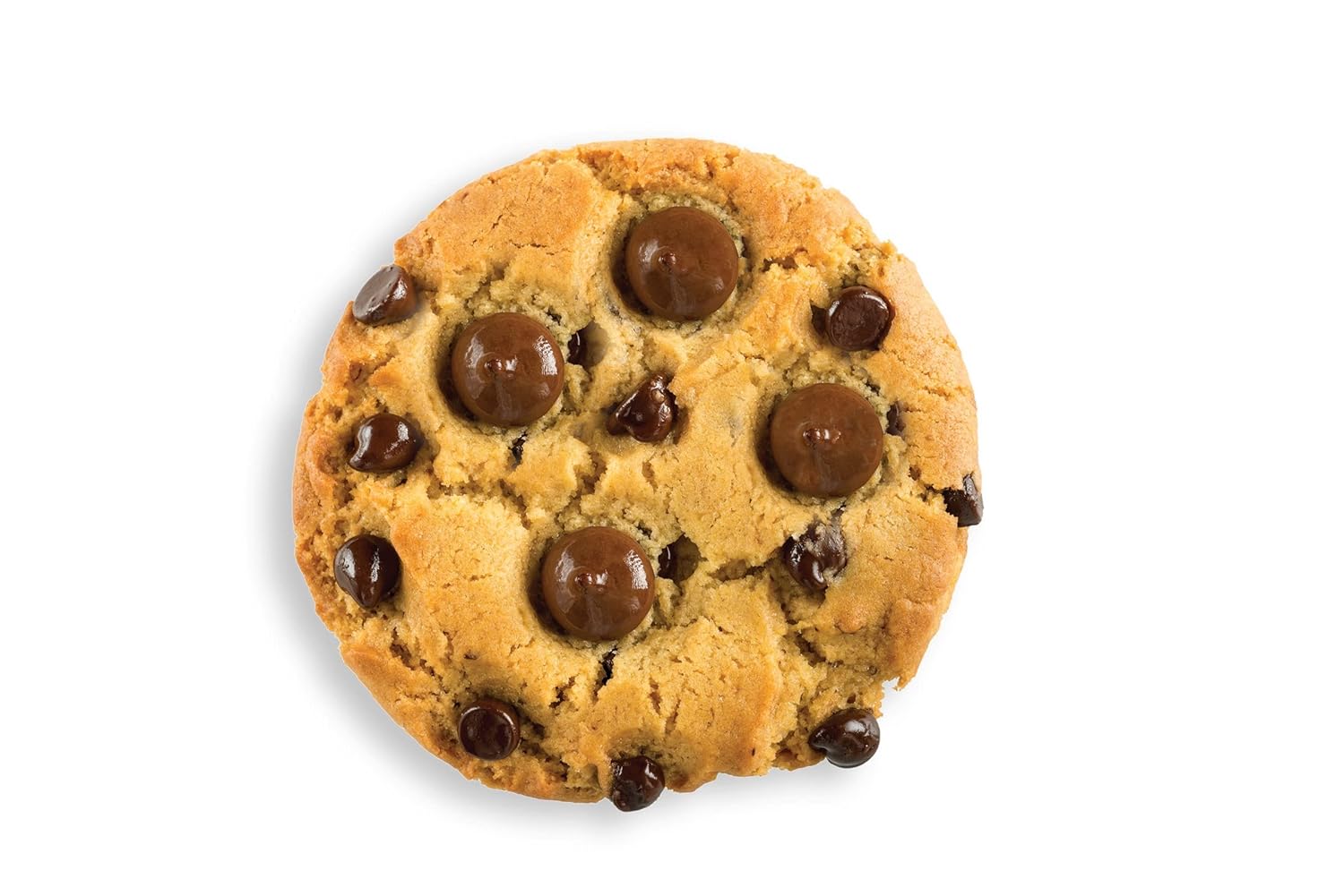 Classic Cookie 12M-SB8001 3-Ounce Chocolate Chip Soft-Baked Cookie at ...