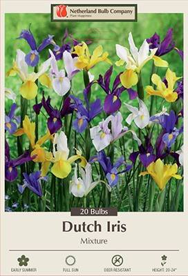 Netherland Bulb Company 3526900670 20-Count Dutch Iris Mixture at ...