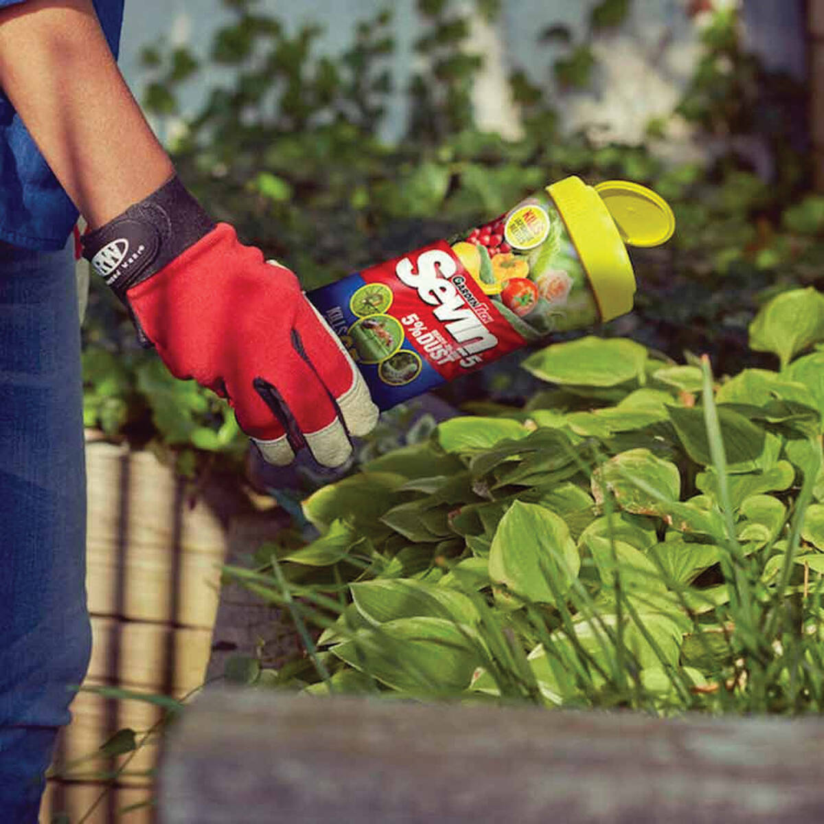 Sevin 100539964 3-Pound Outdoor Powder Ready-To-Use Insect Killer at ...