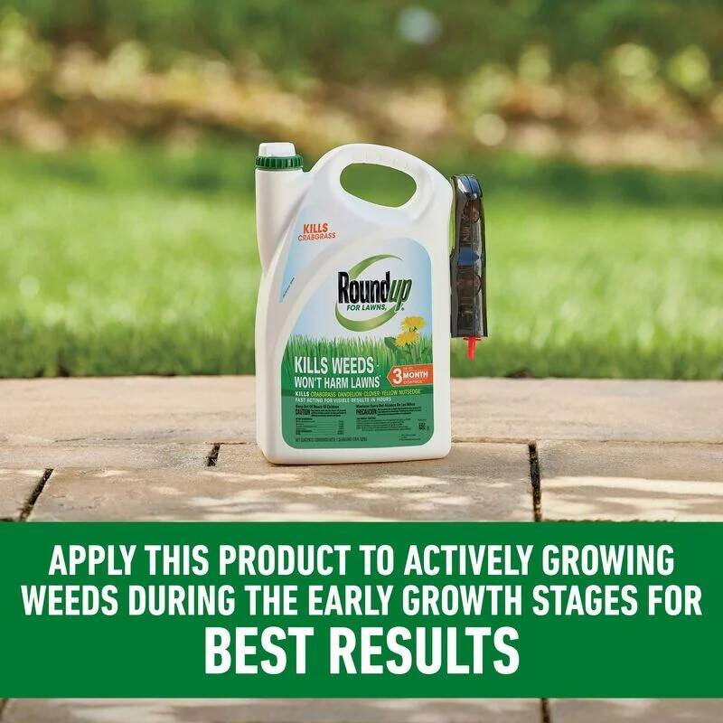 Roundup 5021005 Roundup 1-Gallon Ready to Use Northern Weed and Grass ...