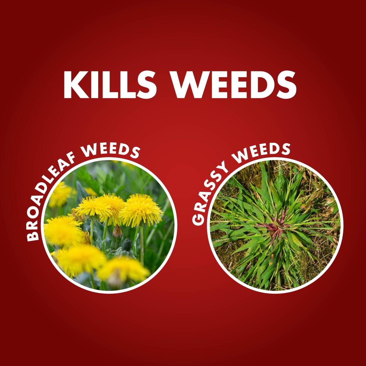 Spectracide HG-97186 1-Gallon Ready to Use One-Shot™ Weed and Grass ...