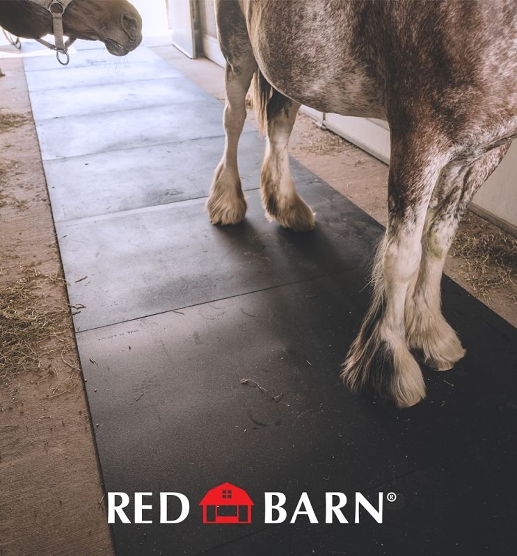 Redbarn® 1202220/3000225 72 X 48 X 3/4-Inch Red Barn Rubber Stall Mat ...