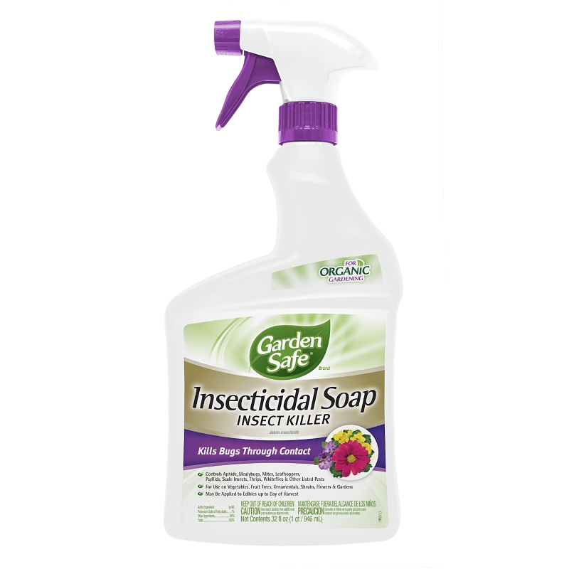 Garden Safe HG-93216 32-Fl. Oz. Insecticidal Soap Insect Killer, For ...