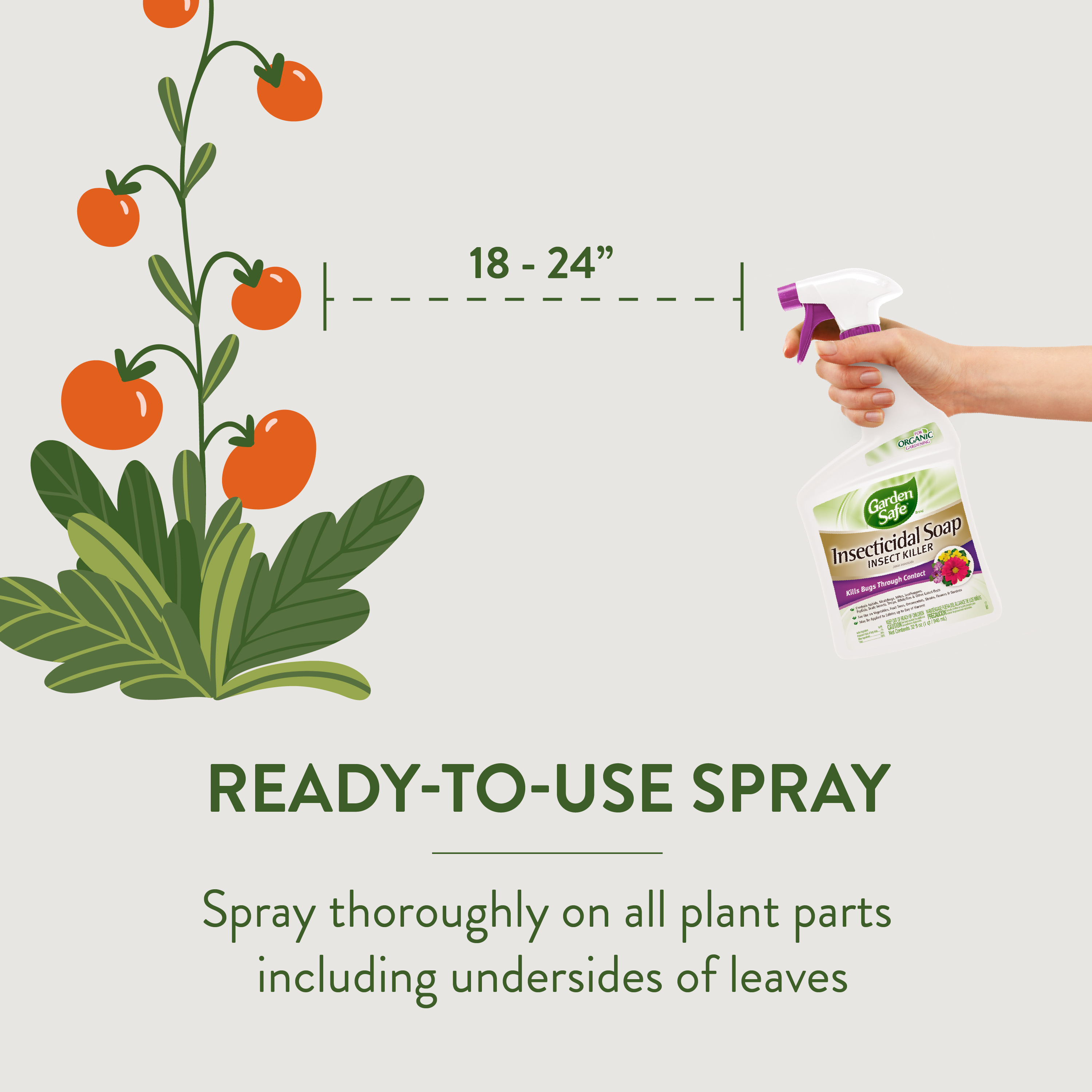 Garden Safe HG-93216 32-Fl. Oz. Insecticidal Soap Insect Killer, For ...