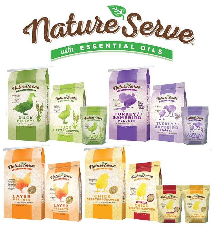 NatureServe 290114 20-Pound Medicated Starter/Grower Chick Feed at ...