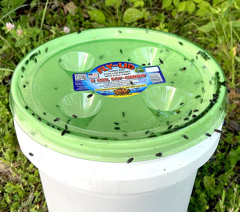 Billy-Bob® 41077 Billy-Bob® Fly Lid™ Fly Condo Trap, For 5-Gallon ...