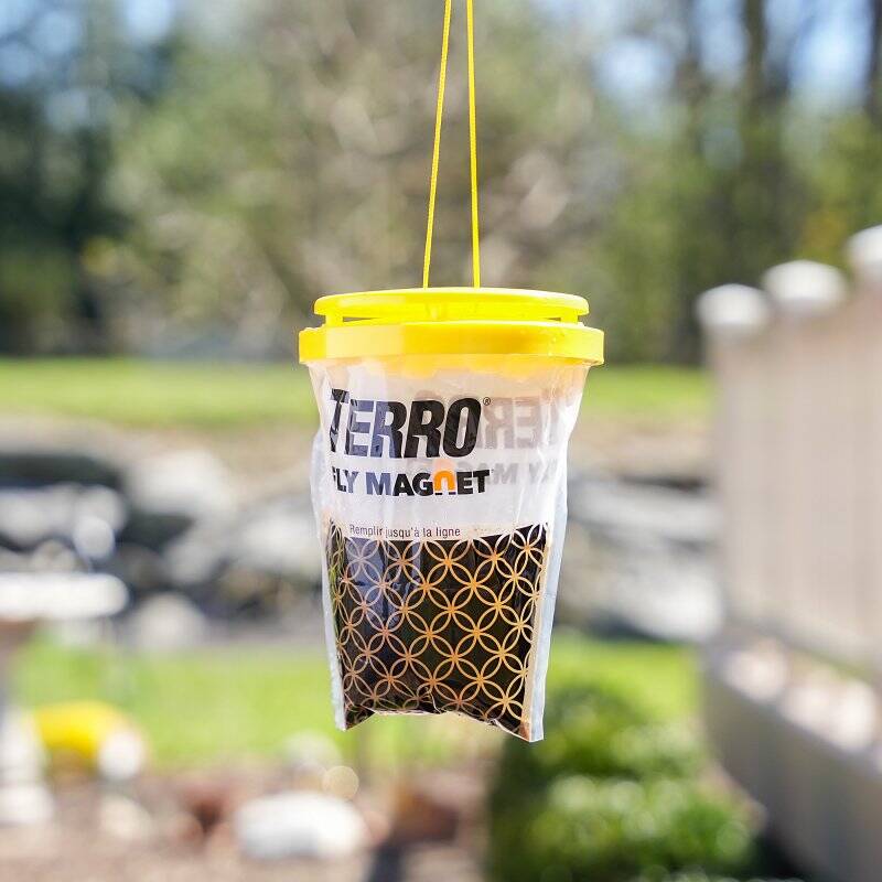 TERRO T524 Disposable Fly Trap with Bait #3482973 at Sutherlands