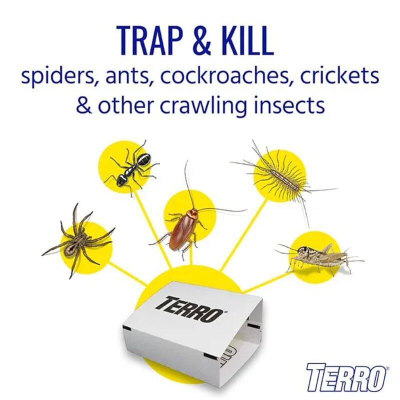 TERRO T3206 TERRO® Spider And Insect Trap 4-Pack at Sutherlands