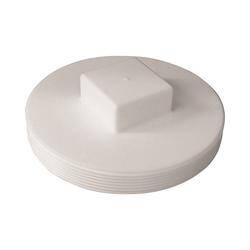 IPEX 41860 6-Inch MIP 41860 Pipe Plug White at Sutherlands