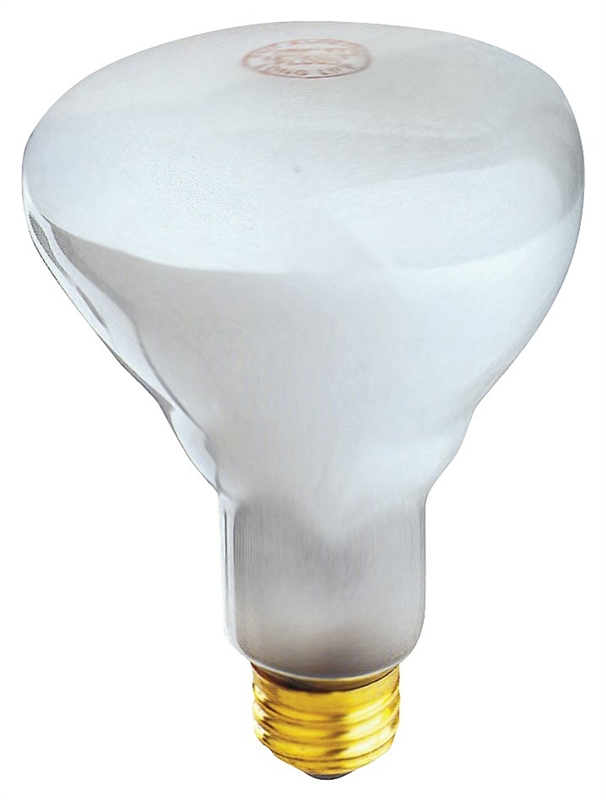 Feit Electric 65BR30/SP/RP 65-Watt 120-Volt Dimmable Incandescent Lamp ... Feit Electric 65BR30/SP/RP 65-Watt 120-Volt Dimmable Incandescent Lamp ...