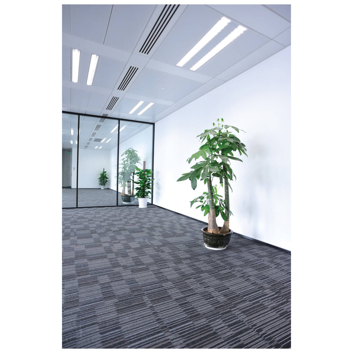 Feit Electric T4815/850/AB/LED/ 4-Foot T8 LED Lamp 10-Pack at Sutherlands