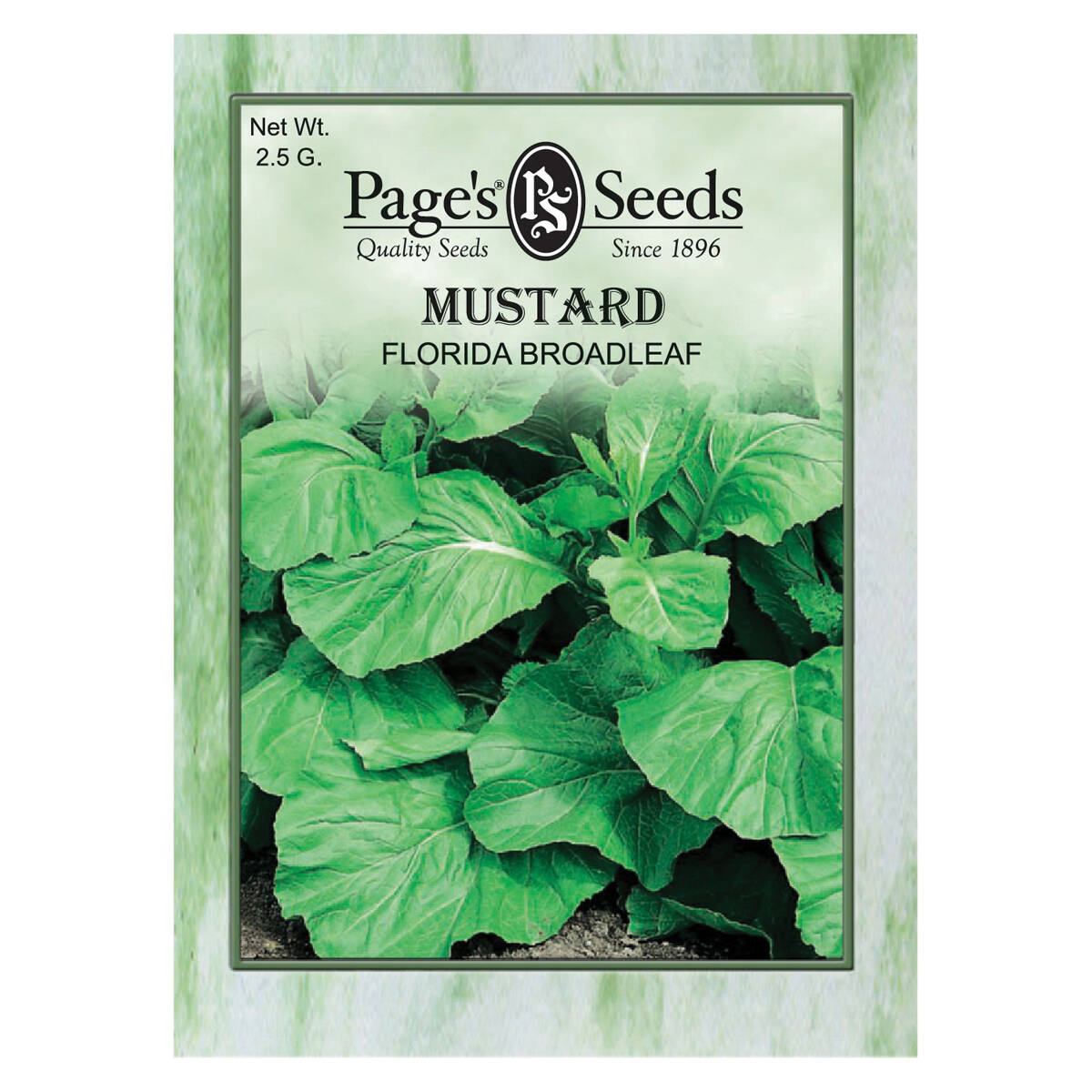 Page's Seeds P447 Florida Broadleaf Mustard Vegetable Seed at Sutherlands