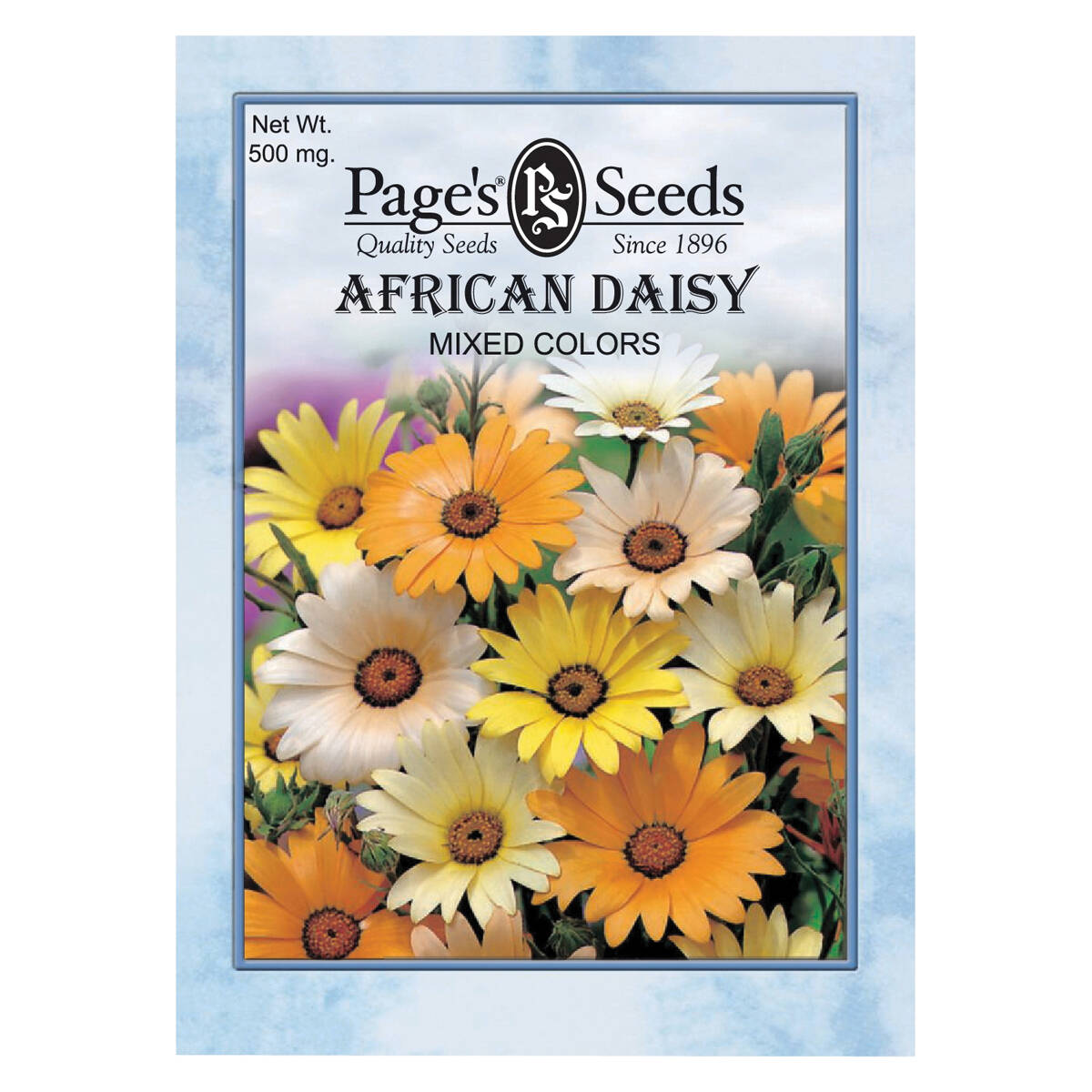 Page's Seeds P700 Summer Bloom African Daisy Flower Seed at Sutherlands