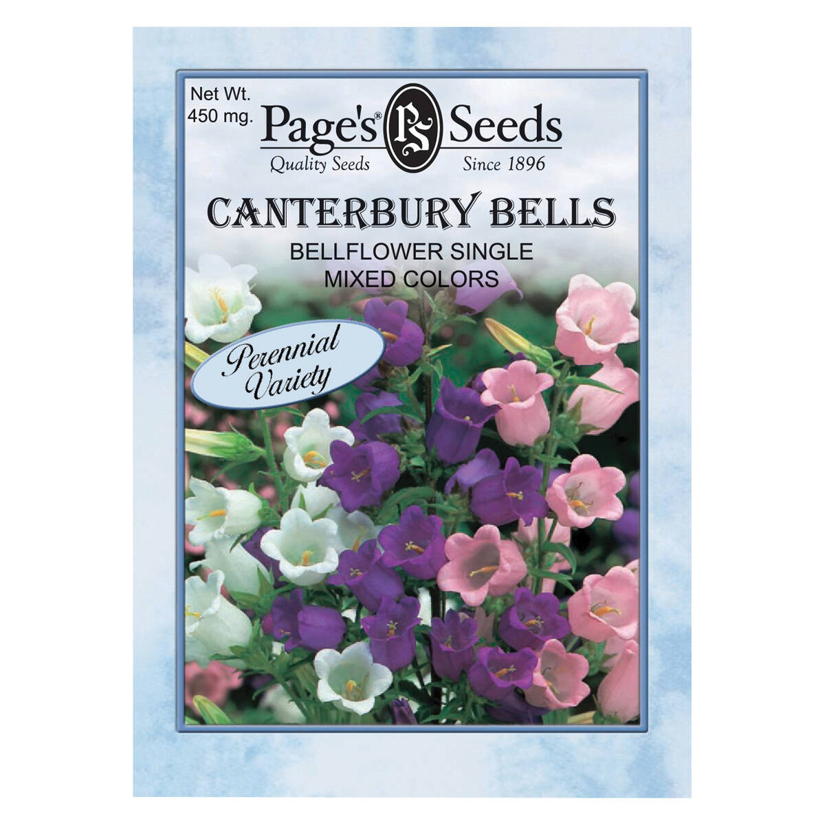 Page's Seeds P732 Spring Bloom Canterberry Bell Flower Seed at Sutherlands