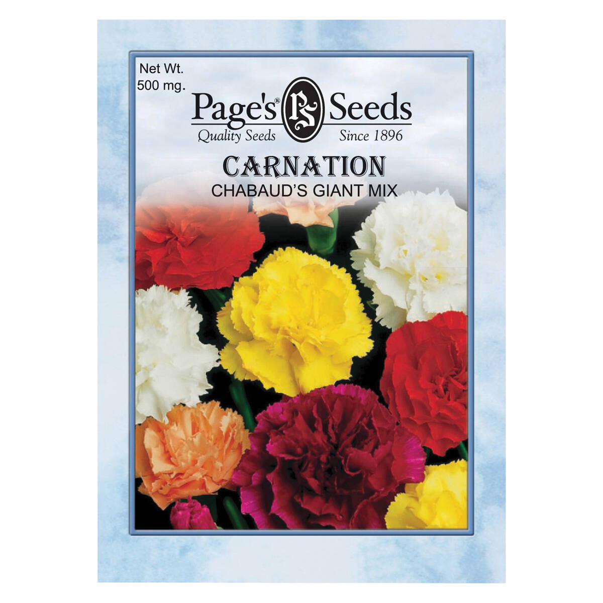Page's Seeds P735 Summer To Fall Bloom Carnation Chabauds Flower Seed ...