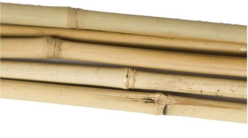 MIDWEST AIR TECHNOLOGY BB6N 6-Foot Natural Bamboo Plant Stake, 6-Piece ...