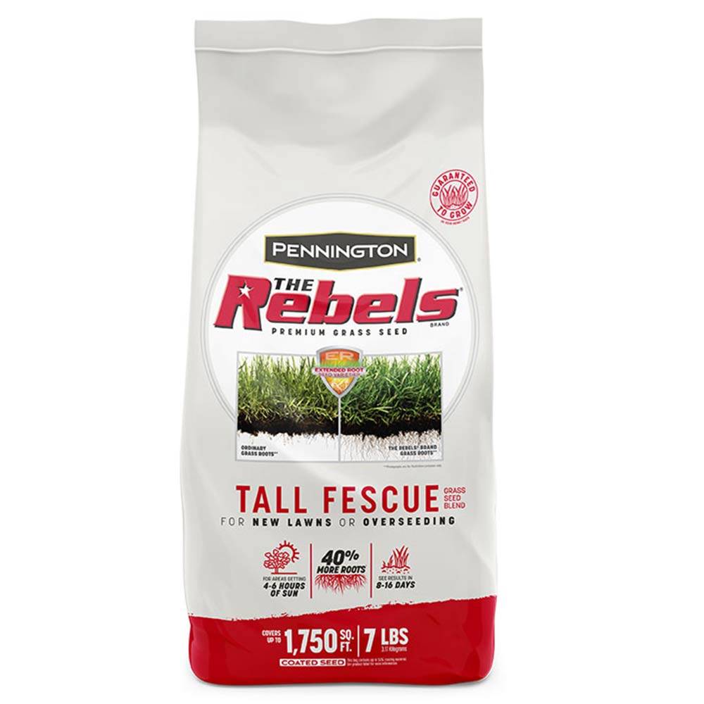 Pennington 5111117 The Rebels® Premium Tall Fescue Grass Seed, 7-Pound ...