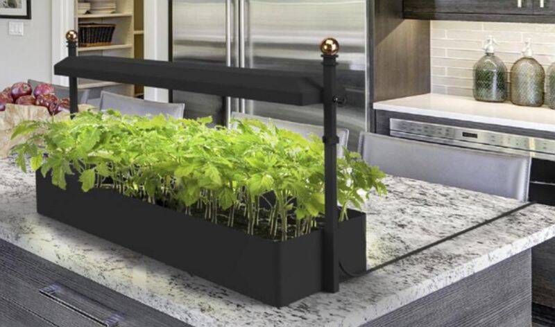 Panacea® 82245 Matte Black Modern Farmouse Gardener Tabletop House ...