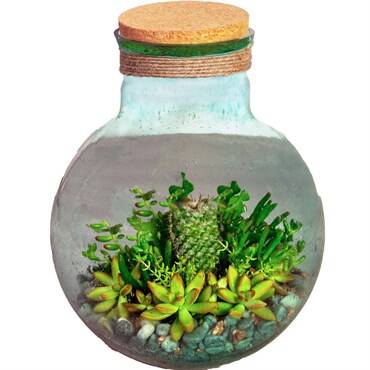 Urban Gardener 81021 Panacea® 9 X 12-Inch Handblown Glass Terrarium ...