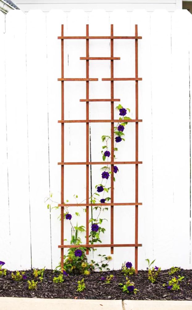 Woodlink 83738 48-Inch Brown Wood Ladder Trellis at Sutherlands