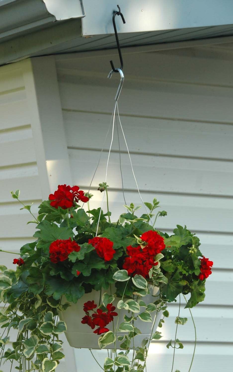 Hookery 27436 6-Inch, Black, 1-Inch Opening, Extension S-Hook at ...