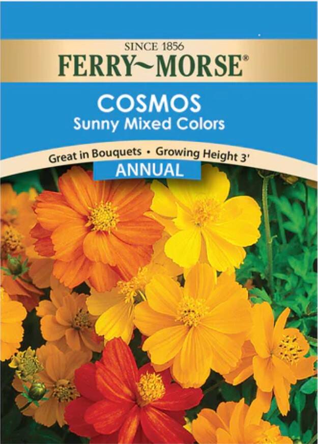 Ferry Morse Z3002 Cosmos Sunny Mixed Color at Sutherlands