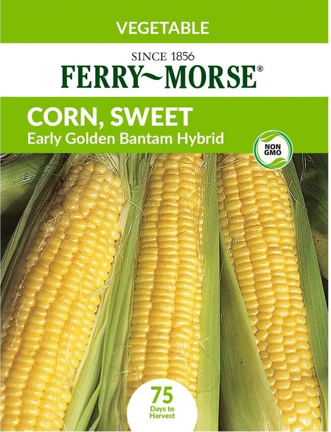 Ferry Morse Z0507 Sweet Corn Early Golden Bantam at Sutherlands