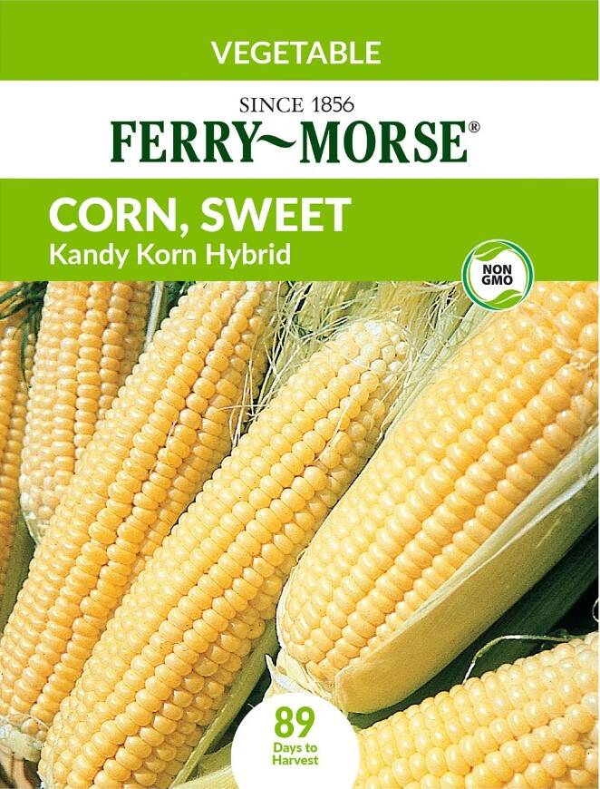 Ferry Morse Z7702 Sweet Corn Kandy Korn Hybrid #3178332 at Sutherlands