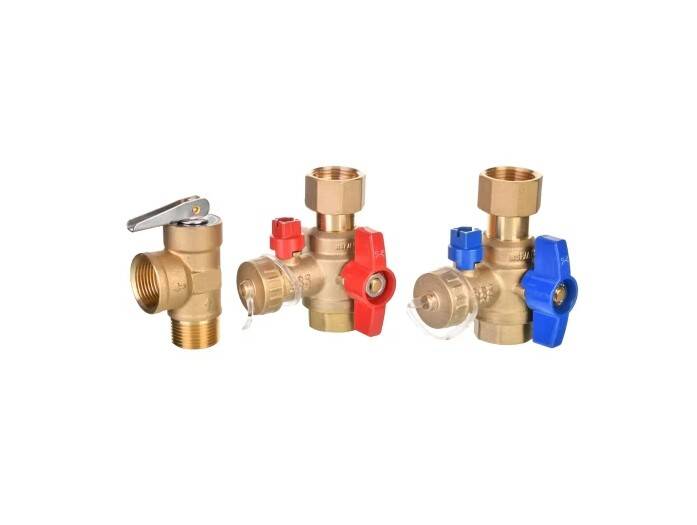 Rheem RTG20326 Tankless Isolation Valves Kit at Sutherlands