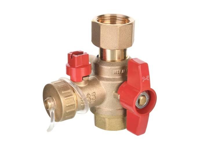 Rheem RTG20326 Tankless Isolation Valves Kit at Sutherlands