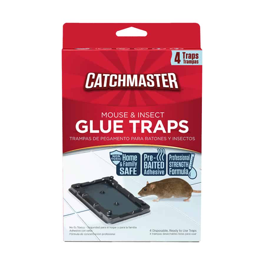 Catchmaster 104SD Pre-Baited Mouse And Insect Glue Traps, 4-Pack at ...