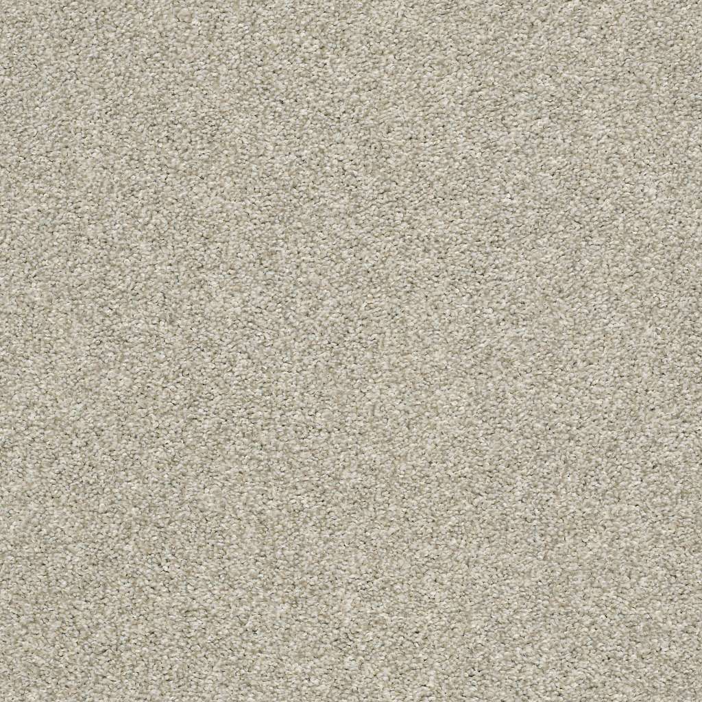 Shaw Floors® E9958 00530 12-Foot Cabana Life T Carpet - Ecru at Sutherlands