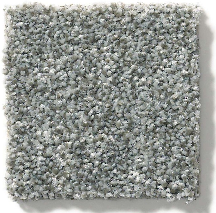 Shaw Floors® E9958 00541 Cabana Life T Carpet, Shadow - Per Square Foot ...